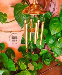 Chinese Coins - Loose - Natural Healing Home